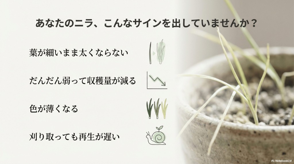 ニラが育たない原因と対策｜細い・弱る・何年目で更新？失敗しやすいポイントを徹底解説【家庭菜園】 - 家庭菜園ガイド｜初心者向け育て方図鑑