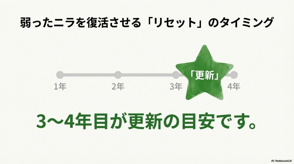 ニラが育たない原因と対策｜細い・弱る・何年目で更新？失敗しやすいポイントを徹底解説【家庭菜園】 - 家庭菜園ガイド｜初心者向け育て方図鑑