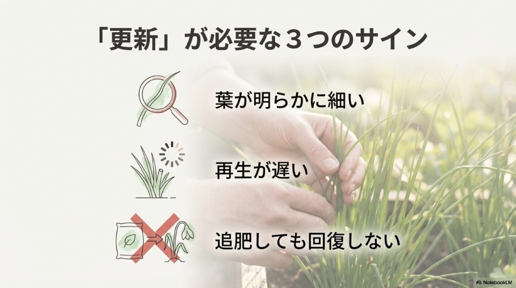 ニラが育たない原因と対策｜細い・弱る・何年目で更新？失敗しやすいポイントを徹底解説【家庭菜園】 - 家庭菜園ガイド｜初心者向け育て方図鑑